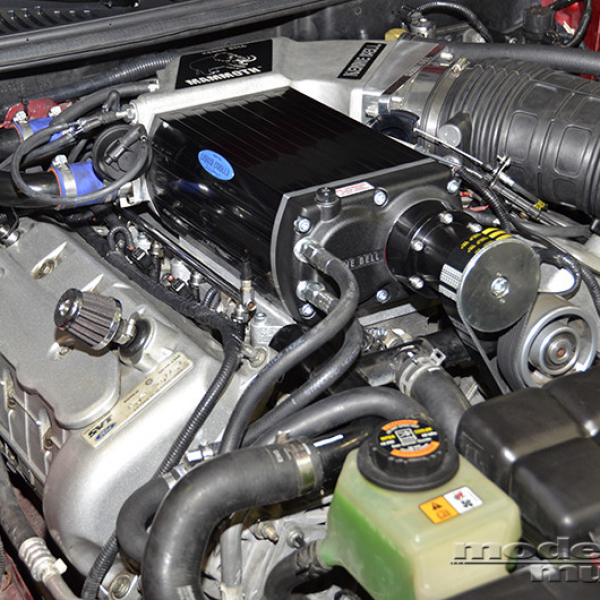 2003 Ford Mustang Cobra - Kenne Bell - Modern Muscle