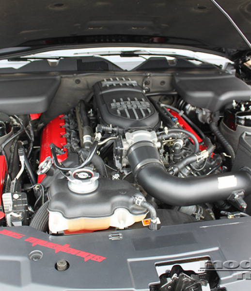 Installation - Modern Muscle