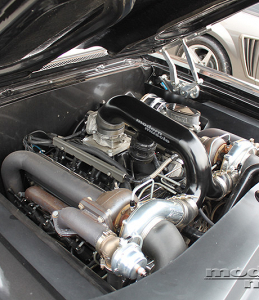 Installation - Modern Muscle